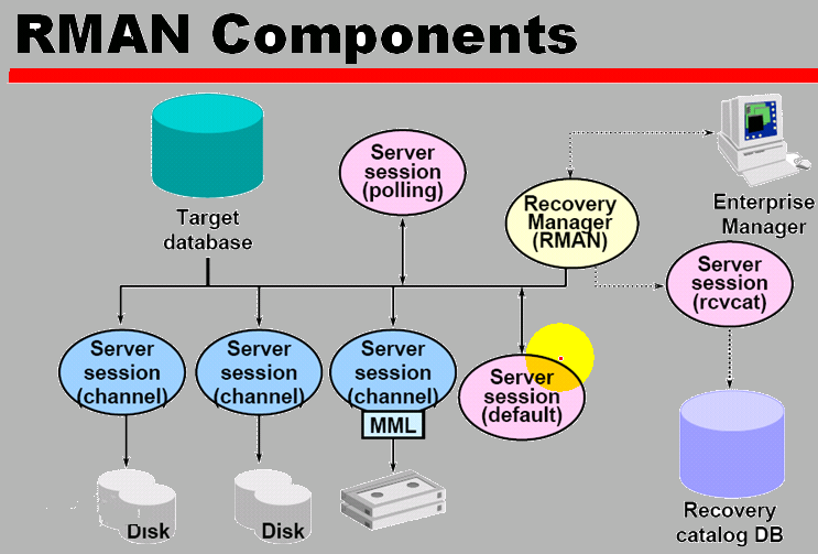 Oracle Rman备份恢复和管理参考资料：oracle之rman入门指南一步一步学rmanrman简介rman Re 掘金